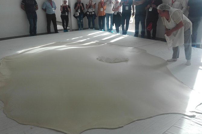 Figueira da Foz by rice paddies and salines, half-day from Coimbra - The Sum Up