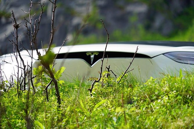 Fjord Sightseeing - Eco friendly Tesla Model X - Key Points