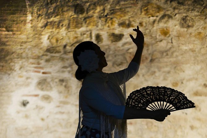 Flamenco, Tapas and Wine Tour: Best of Málaga in one Evening - Whats Included and Whats Not