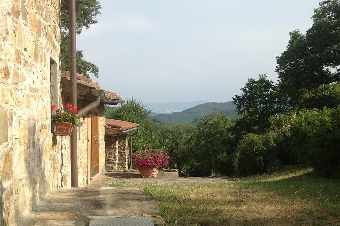 Florence Cooking Class in a Gorgeous Countryside Home with Maria - The Profile of the Experience