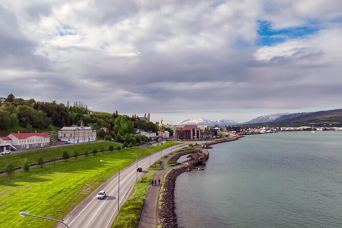 Forest Lagoon Ebike Tour Akureyri - Authentic Experiences and Genuine Insights from Reviews