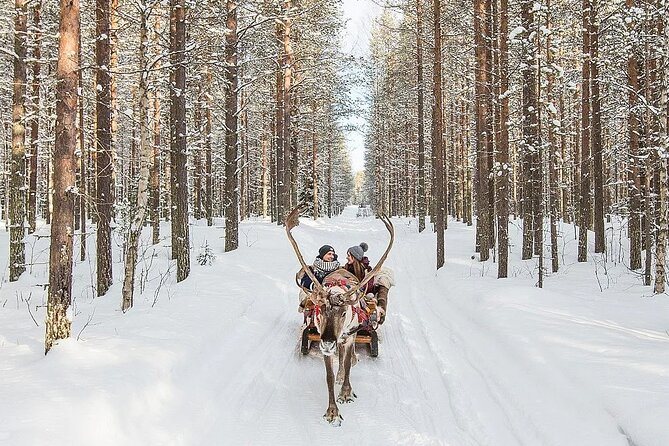 Forest Trail Reindeer Safari - Key Points