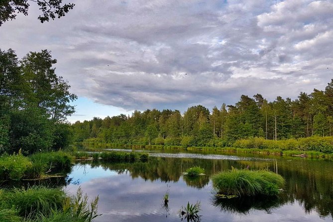 Four Natural Ecosystems In One Hike - An In-Depth Look at the Experience
