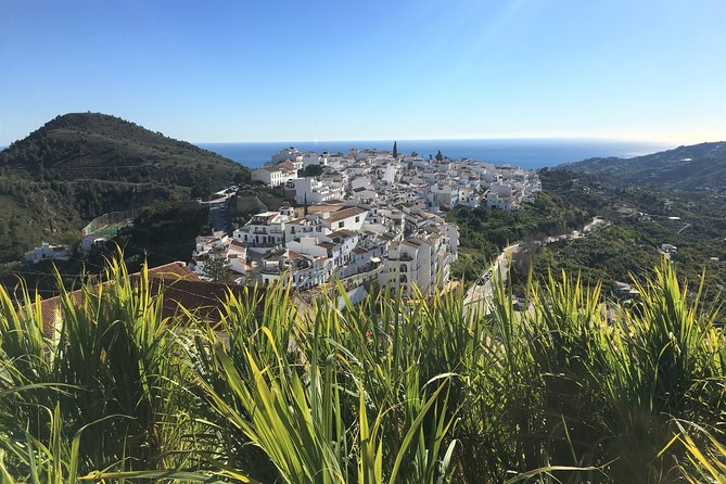 Frigiliana Small-Group Hike and Wine Tasting Tour from Malaga - An Introduction to an Authentic Andalusian Experience