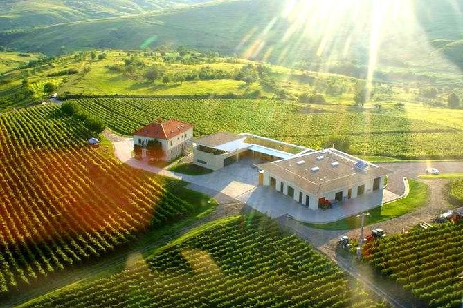 From Bucharest: Exclusive Wine Tasting Tour in Dealu Mare - An In-Depth Look at the Dealu Mare Wine Tour