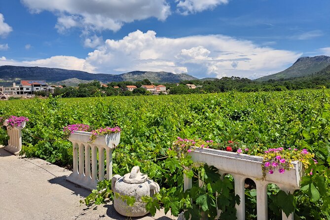 From Dubrovnik: Peljesac Wine Tasting Private Tour - Key Points