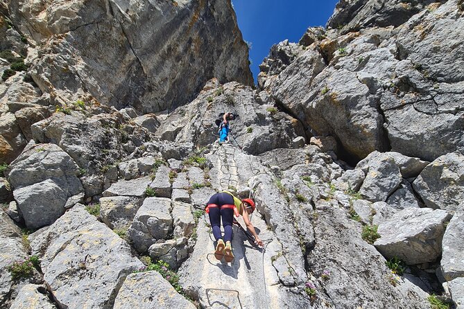 From Estepona: Guided Via Ferrata Adventure in Benalauría - What to Expect from This Via Ferrata Adventure