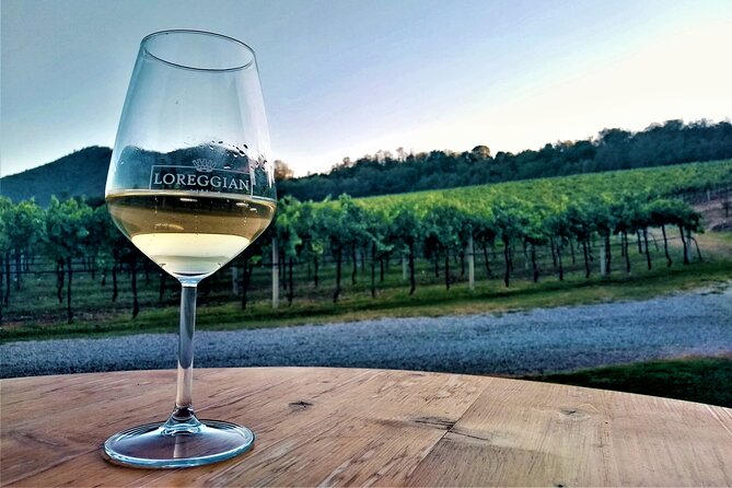 From Padua, Wine Tour in the Euganean Hills - Who Will Love This Tour?