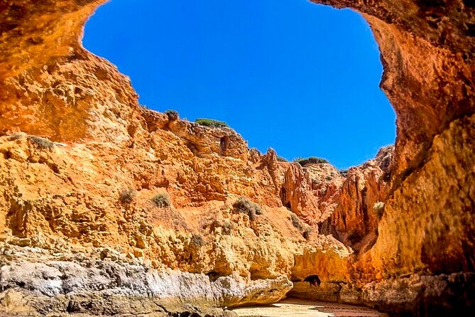 From Portimao to Paradise 60 min Private Tour - Journey Through the Algarves Coastline