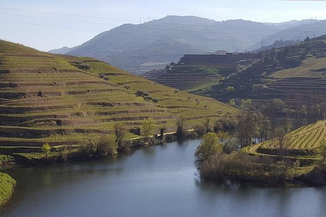 From Porto Private Tour Douro Valley two Wineries, Lunch and Boat. - Overview and What Makes This Tour Stand Out