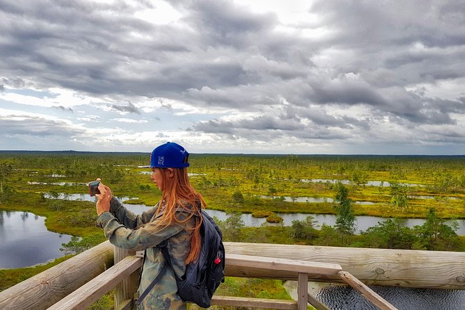 From Riga: Best of Kemeri National Park In One Day - Key Points