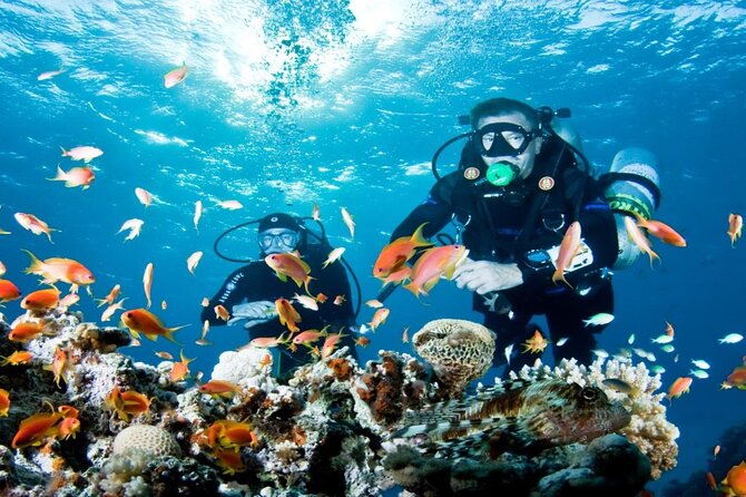 From Side, Alanya: Scuba Diving With 2 Time Dive & Lunch - The Experience: What Youll Really Get