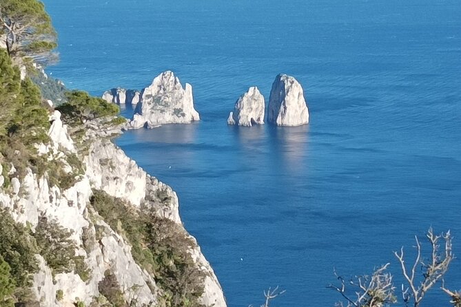 From Sorrento: Capri & Blue Grotto Small Group Tour - What to Expect from the Tour
