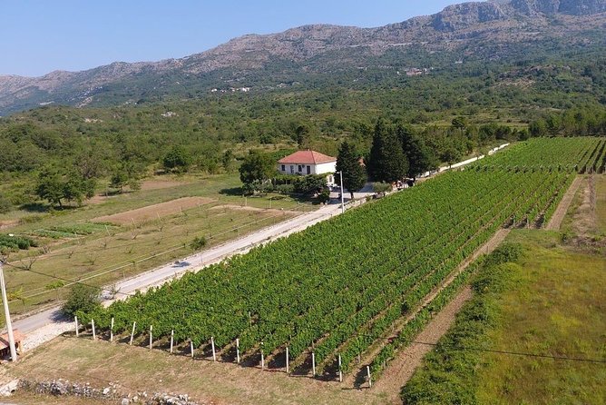 From Vine to Table: Gourmet & Wine Adventure in Konavle Village - Exploring the Itinerary in Detail