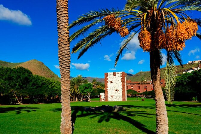 Full-day Bus Tour to La Gomera Island with Professional Guide - Key Points