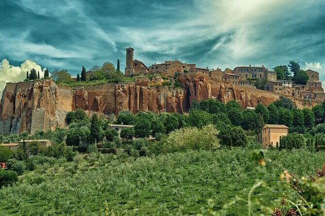 Full day experience | Tasting & art among the Orvieto vineyards - An In-Depth Look at the Experience
