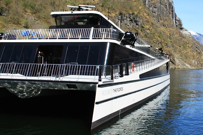 Full Day Guided Roundtrip From Bergen To Sognefjord With Flam Railway - What Makes This Tour Stand Out