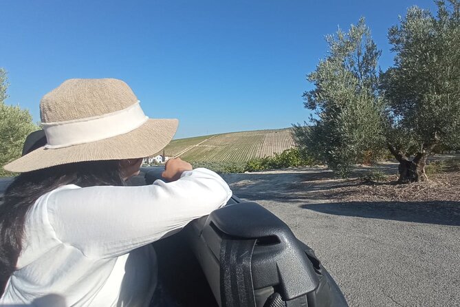 Full day in Cordoba between Vineyards and Olive Trees with a Convertible Car - Practicalities and Value