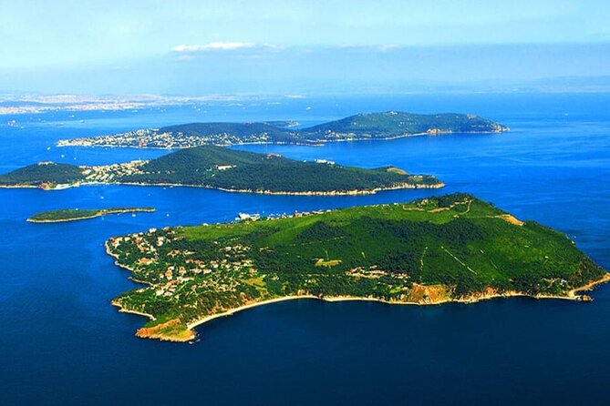 Full Day Istanbul Princes Islands Tour with Lunch - An Overview of the Princes Islands Tour