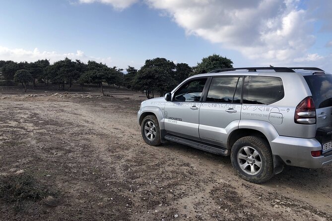 Full-Day Jeep Safari in Kos and Kefalos with Lunch - What Makes This Tour Stand Out?