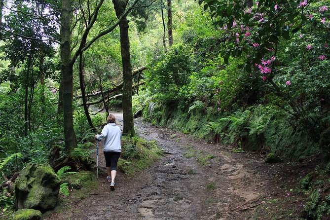 Full Day Lagoa do Fogo Tour + Walking + Liquor Tasting PRIVATE - A Deep Dive into the Lagoa do Fogo Tour Experience