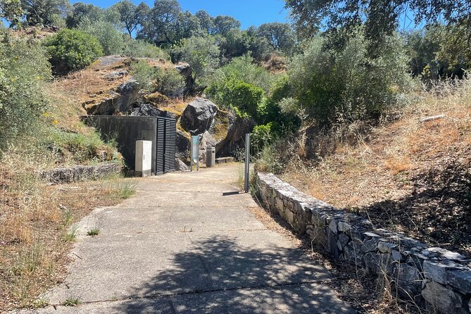 Full Day Megalithic Tour with Lunch Included - Exploring Portugal’s Megalithic Heritage: The Experience in Detail