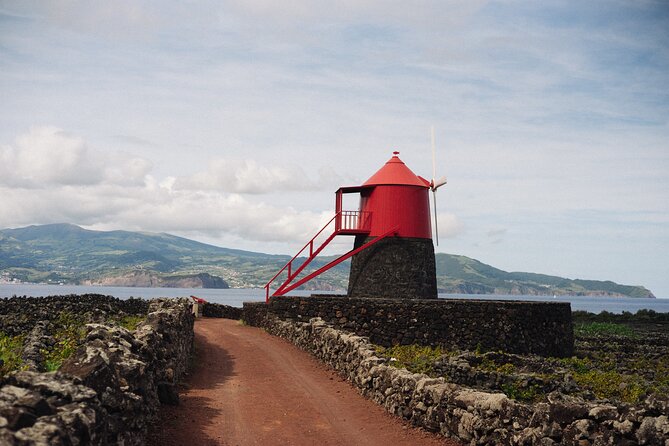 Full-Day Pico Island Tour from Horta - What the Tour Offers