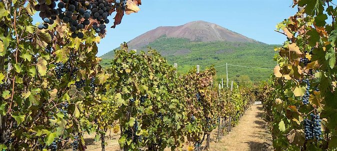 Full-Day Pompeii - Vesuvius - Winery Lunch Experience Private Tour - What’s Included and What to Consider