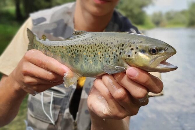 Full Day Private Guided Fishing Charter along the Isonzo Front - An Introduction to the Isonzo River Experience