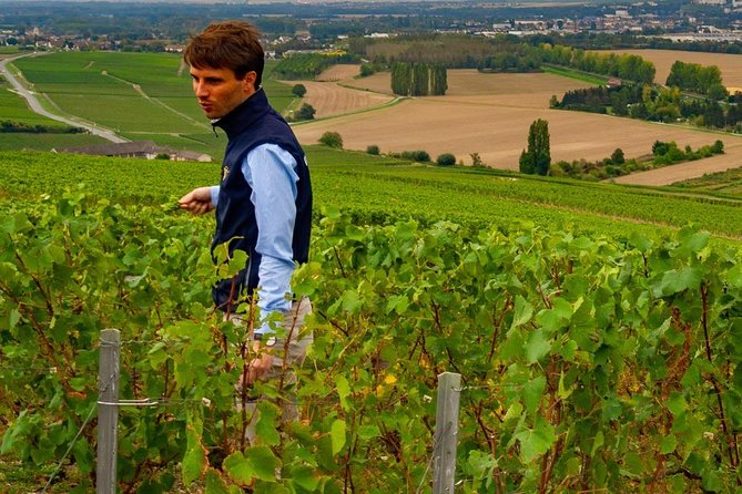 Full-Day Private Guided Tour of Champagne wih Hotel Pickup - An In-Depth Look at the Champagne Experience