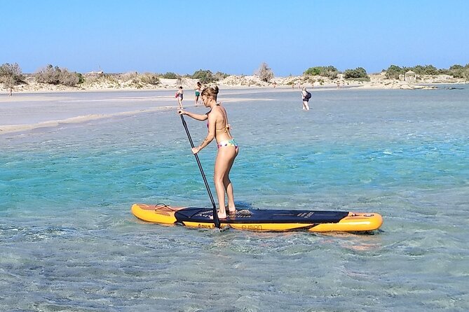 Full Day Private Minivan Tour to Elafonisi Beach and kedrodasos - A Close Look at the Itinerary and Experience