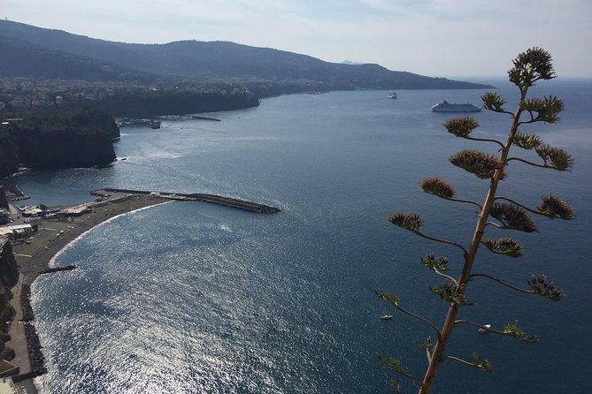 Full Day Private Sorrento & Amalfi Coast Tour from Positano - An In-Depth Look at the Tour Experience