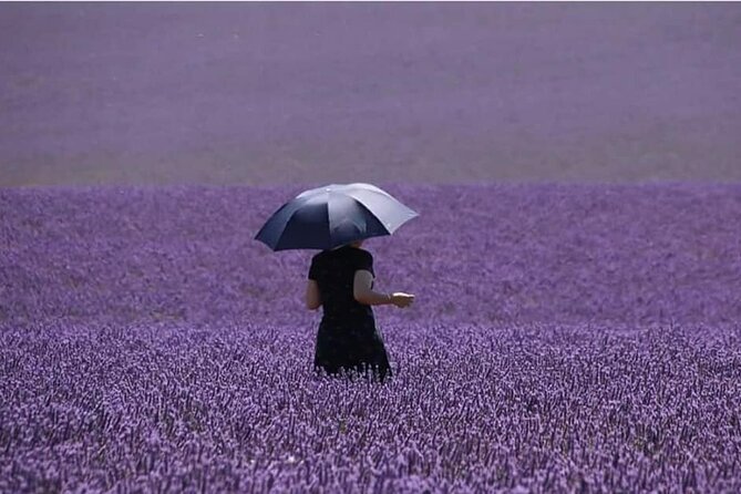 Full-day Private Tour Gorges du Verdon (LAVENDER JUNE 15/JULY 15) - Reveling in Europes Largest Canyon: Gorges du Verdon