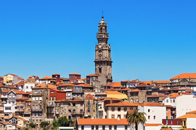 Full-Day Private Tour in Porto from Lisbon - Setting the Scene: What to Expect from this Porto Tour