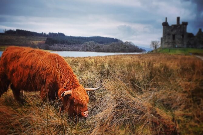 Full Day Private Tour in West Highlands, Oban and Glencoe - Key Points