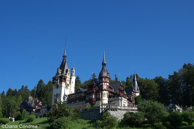 Full-Day Private Tour of Brasov City and Peles Castle from Bucharest - Stepping into Medieval Transylvania in Brasov