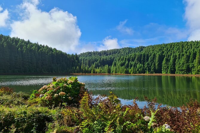 Full Day Private Tour West & East in São Miguel Island - A Deep Dive into the São Miguel Private Tour Experience