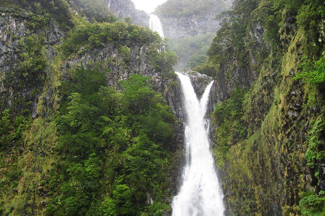 Full-Day Rabaçal Levada Walk from Funchal - Guides and Group Experience