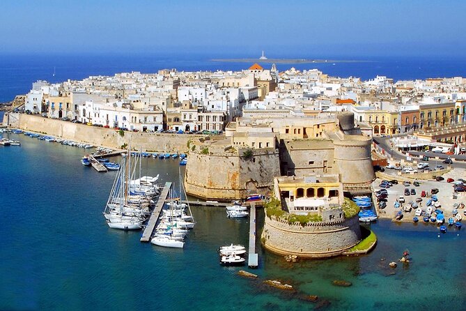 Full-day Salento Wine and Food Tour - An In-depth Look at the Salento Wine and Food Tour
