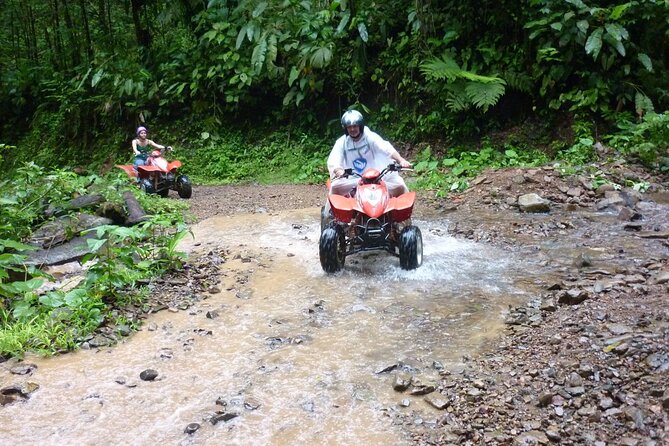 Full Day Sapanca and Masukiye Tour with lunch - Exploring the Itinerary: What You Can Expect