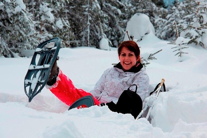 Full-Day Snowshoeing in High Tatras with Local Mountain Guide from Poprad - What’s Included and What’s Not