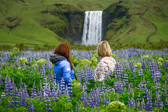 Full-Day South Coast Tour & Glacier Hike - with Photo Package - An In-Depth Look at the Itinerary