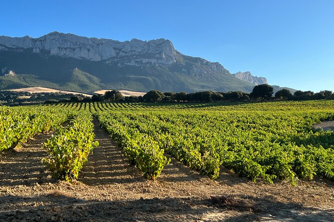 Full Day Tasting The Unknown Rioja Wine Region - A Closer Look at the Itinerary