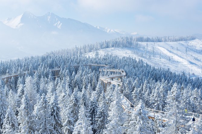 Full-Day Tour of Zakopane and Slovakia Treetop from Krakow - Key Points