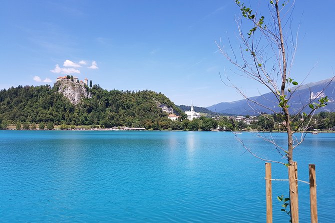 Full day tour to Lake Bled & Ljubljana from Koper/Trieste - Key Points