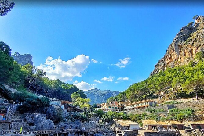 Full Day Tour to the Island of Mallorca - What the Reviews Reveal