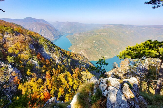 Full Day Trip from Belgrade: The Drina River House And Tara Park Tour - Key Points