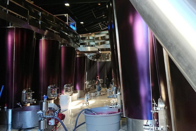Full-day wine tour in Saint-Emilion (Premium Sedan) - Key Points
