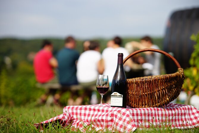 Full Day Wine Tour in Vouvray and Chinon with LUNCH at the winery - A Gourmet Picnic in Bourgueil