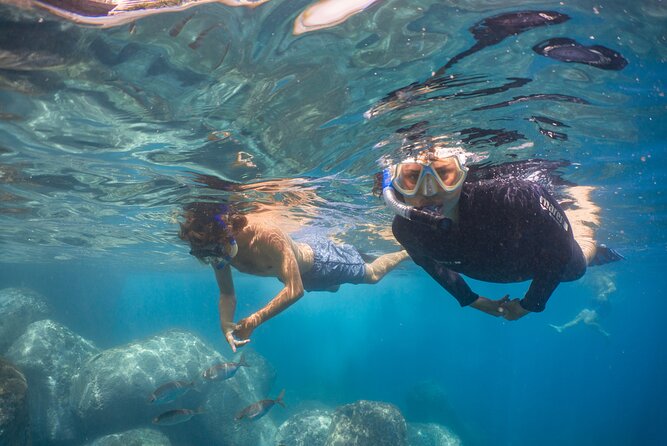 Funchal: Snorkeling Adventure in Eco-Park / Shore or by Boat - Why the Tour Offers Great Value